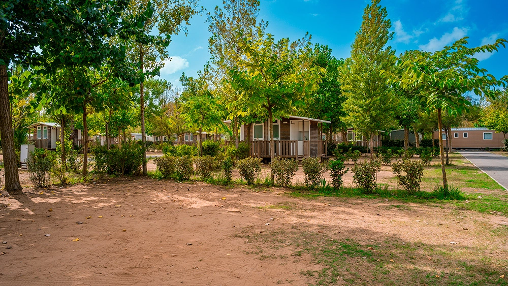 Les emplacements - Camping ***** les Sablons